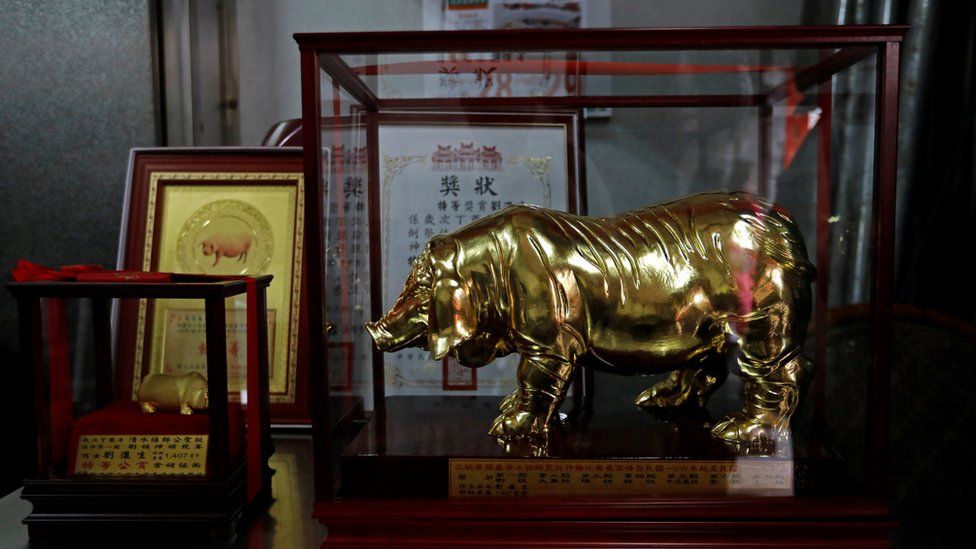 Holy Pig: Taiwan parade draws crowds and cruelty claims - BBC News