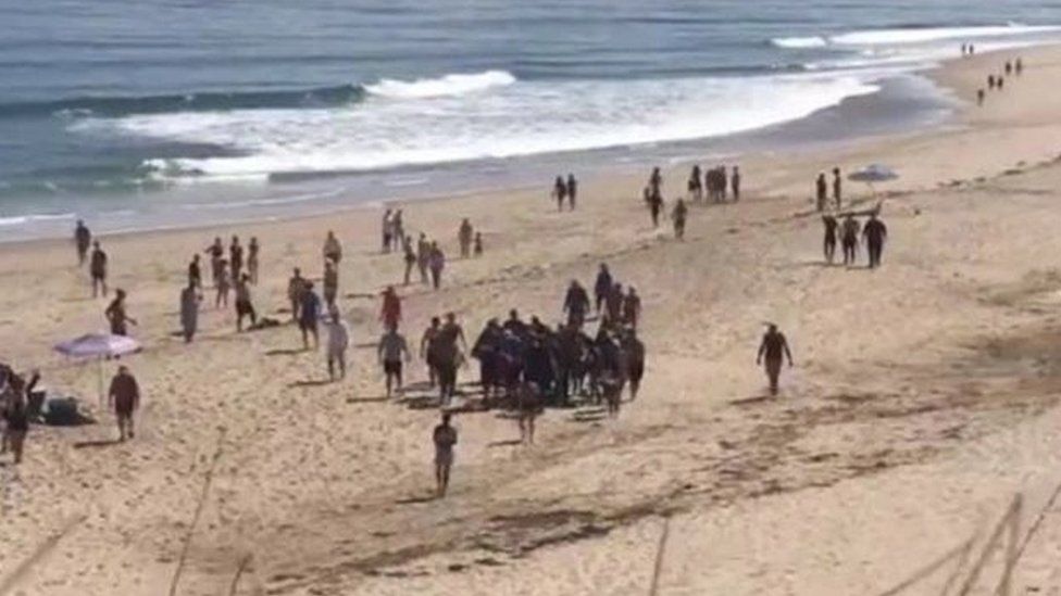 Massachusetts shark attack victim 'died doing what he loved' - BBC News