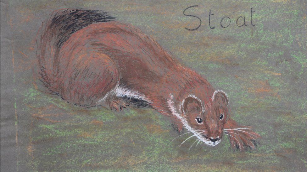 Mabel Remington Colhoun photo collection goes online - BBC News