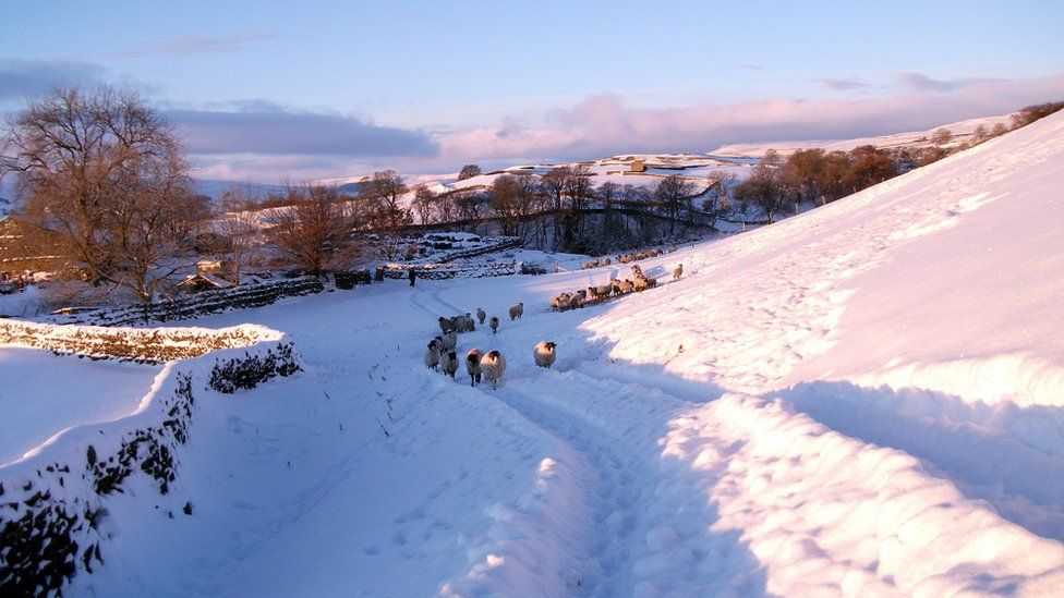 Yorkshire snow: Drivers warned as roads closed - BBC News