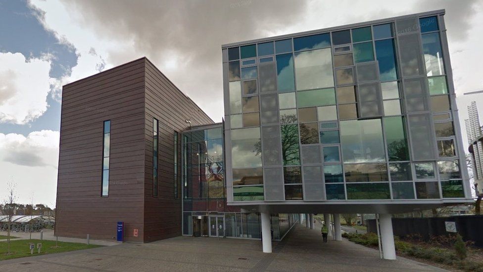 GM hens help build 'frozen aviary' in Edinburgh - BBC News