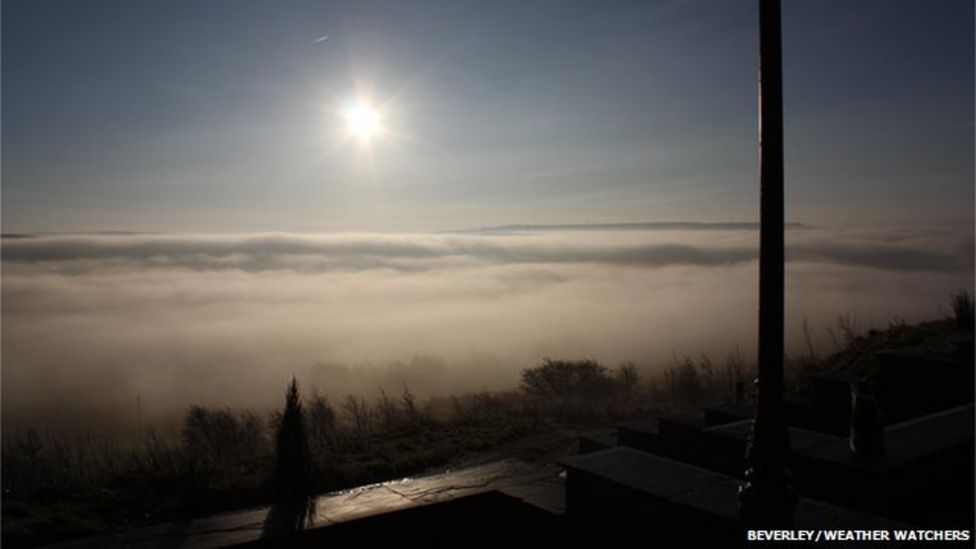 Gallery: Misty Monday - BBC Weather