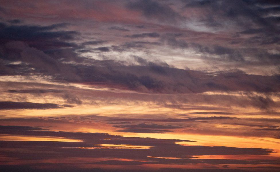 Y gaeaf... drwy lens camera Clare Harding - BBC Cymru Fyw