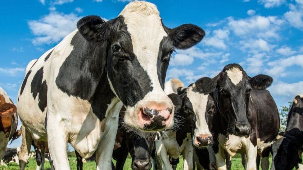 Farming faces 'historic' shift to cut greenhouse gas emissions - BBC News