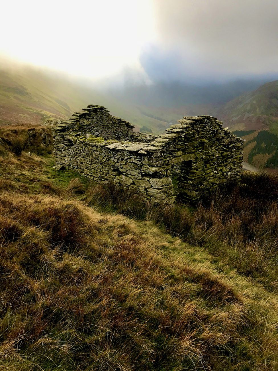Your pictures on the theme of 'shelter' - BBC News