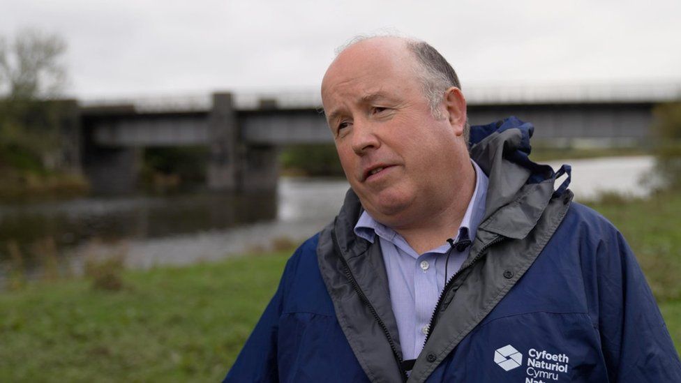 Dŵr Cymru'n cyfaddef gollwng carthion anghyfreithlon - BBC Cymru Fyw