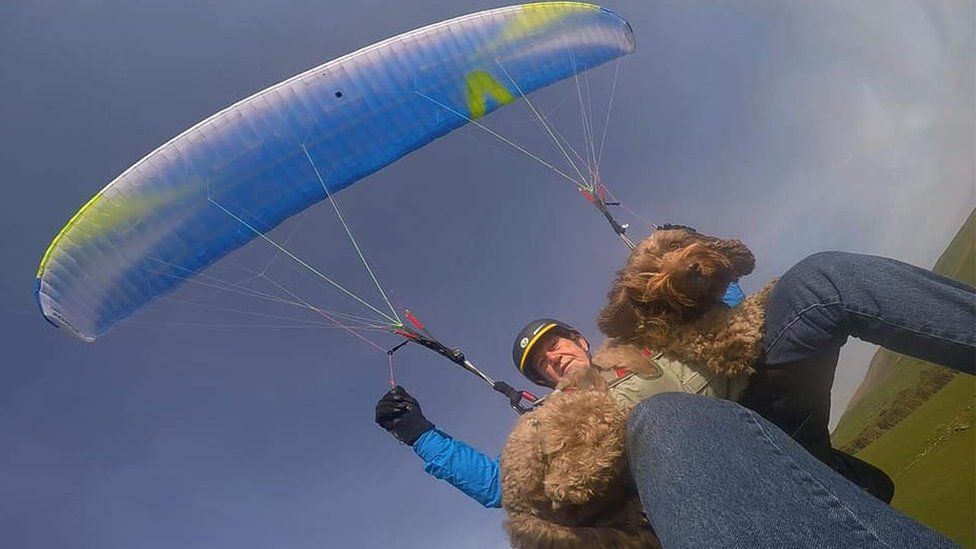 Is Henry the paragliding dog the coolest pet in the world? - BBC News