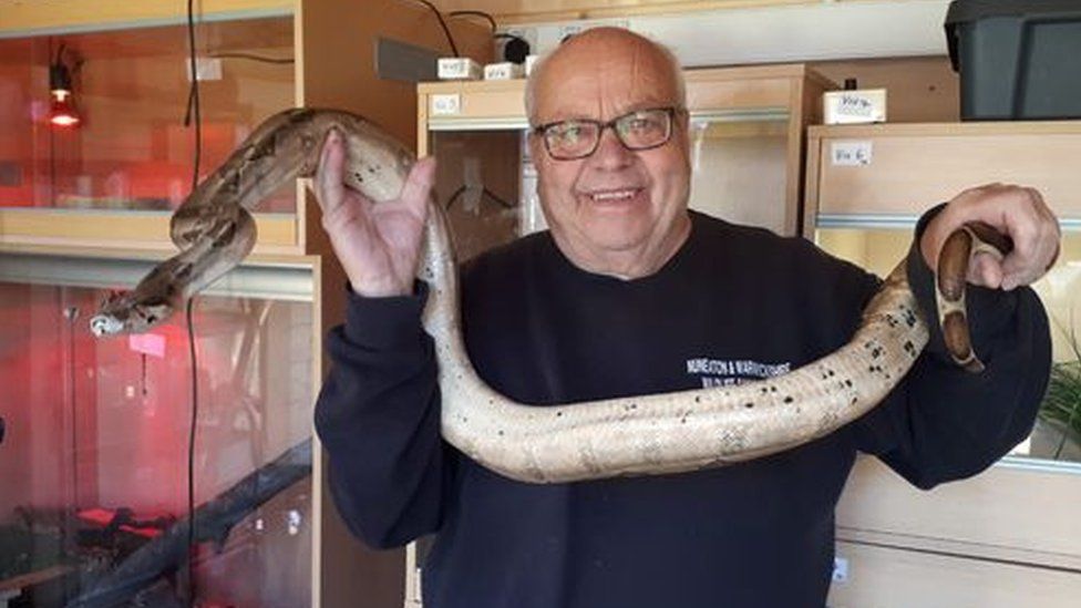 Seven foot snake falls from attic hatch at Nuneaton home - BBC News