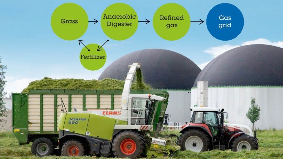 Grass to power thousands of Reading homes at new gas mill - BBC News