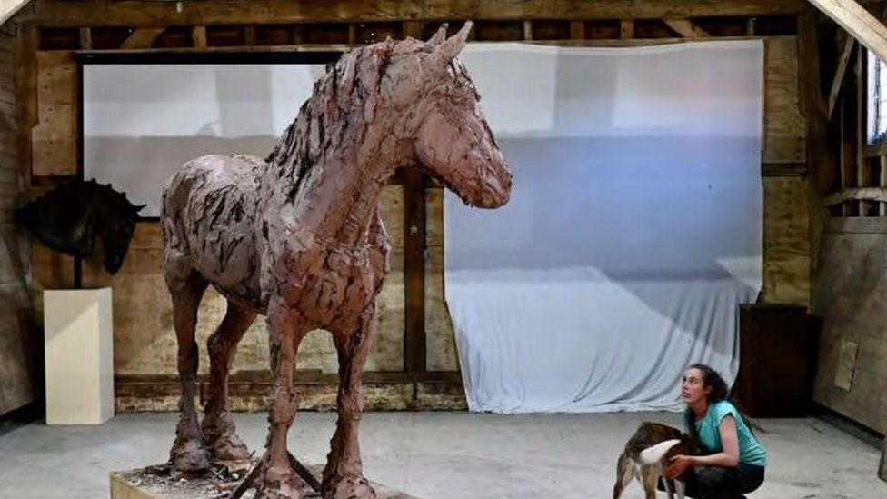 Animal sculptures to be installed on Swindon roundabouts - BBC News