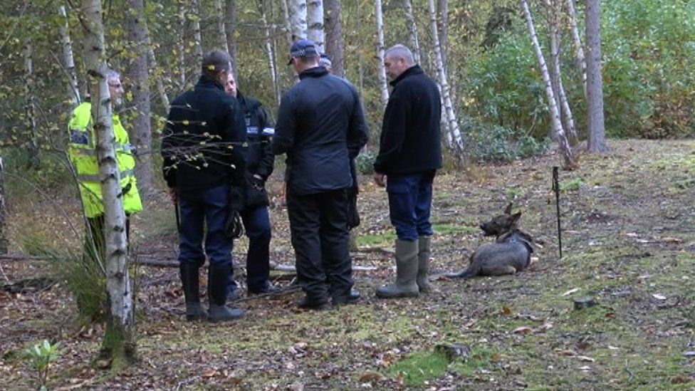 Kent Police in woodland search for woman missing 20 years - BBC News