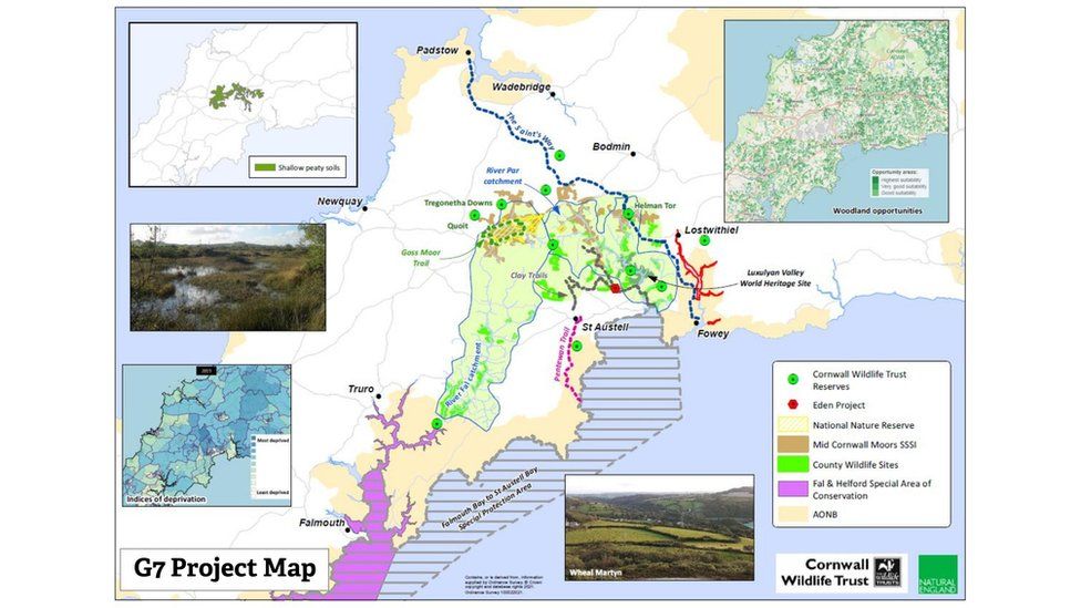 Cornwall G7 legacy project to boost wildlife habitats - BBC News