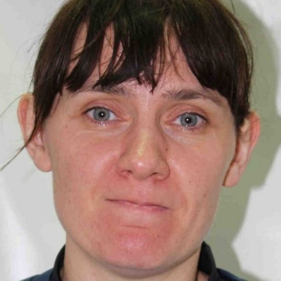 Invictus Games 2016: Six Welsh warriors taking part - BBC News