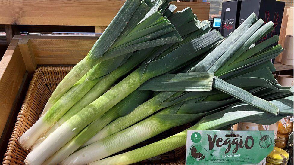 Statws newydd y genhinen Gymreig o unrhyw werth? - BBC Cymru Fyw