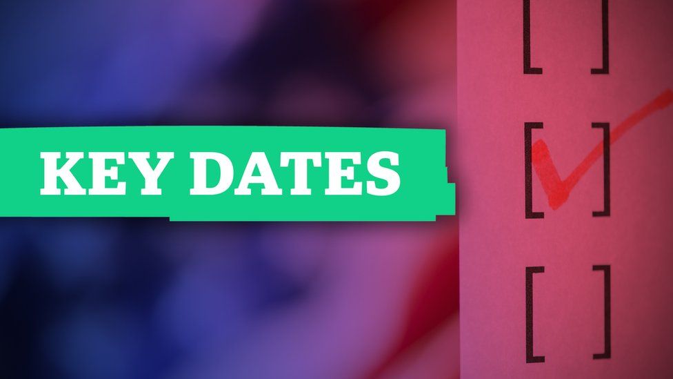 Trump v Biden: All you need to know about US Election - BBC Newsround