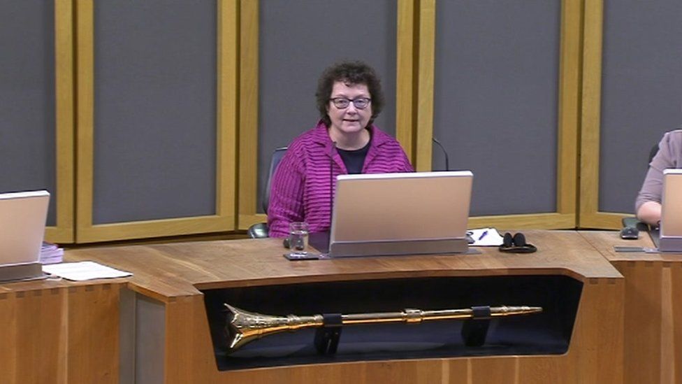 Assembly scrutiny of Brexit laws bypassed, warns Elin Jones - BBC News