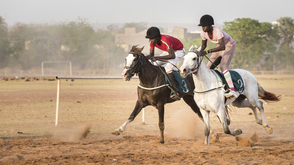 In pictures: Sunday morning at the Bamako Hippodrome - BBC News