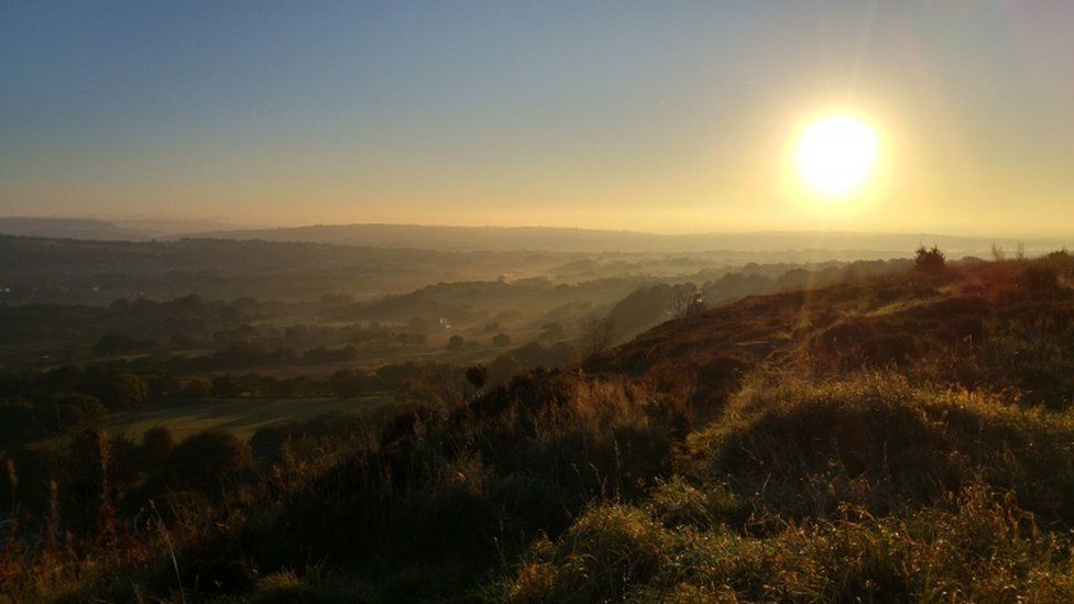 Why are a million more trees being planted in the 'Northern Forest ...