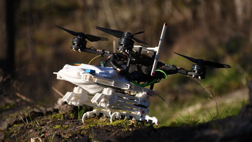 Scientists make robot bird that can land on branches - BBC Newsround