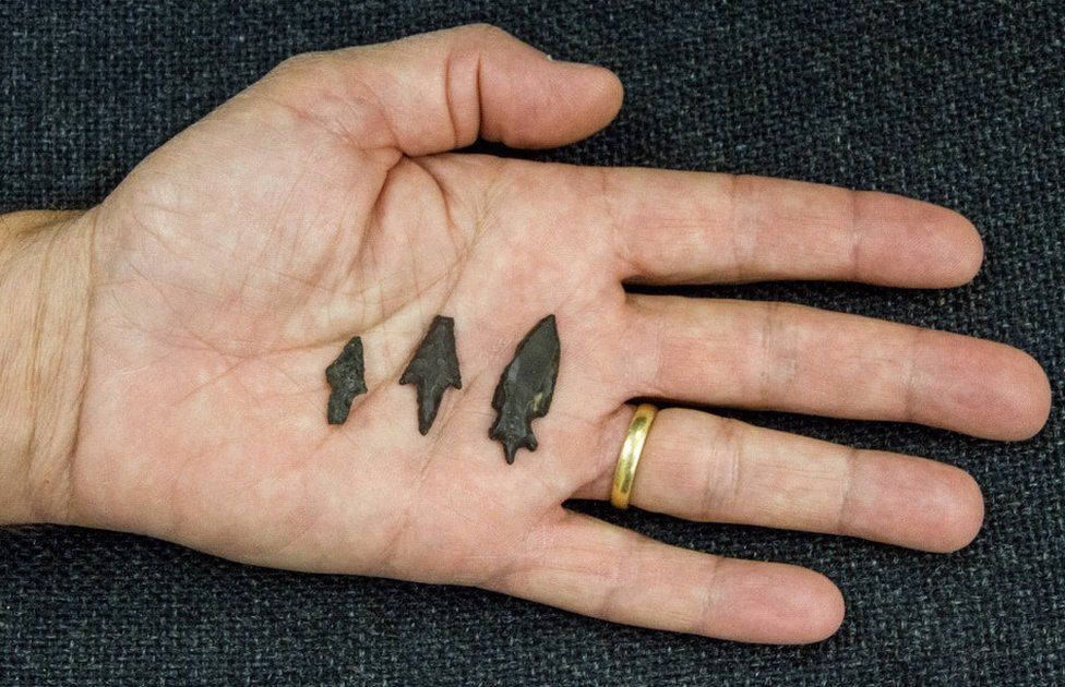 Green Arabia's key role in human evolution - BBC News