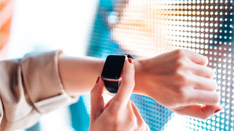 Algae powered computer created by UK scientists - BBC Newsround