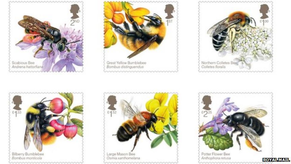 Rare Welsh bee features on new series of stamps - BBC News