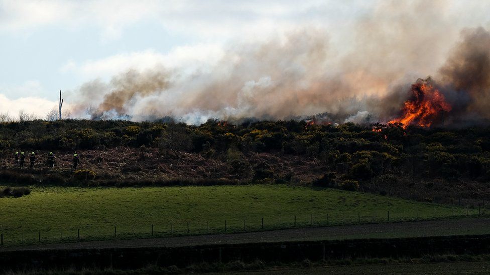 In pictures: Fire crews tackle Guisborough gorse blaze - BBC News