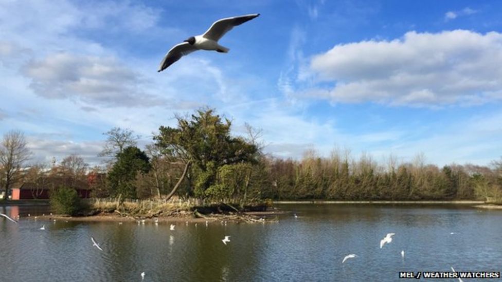 Gallery: Your recent Weather Watchers photos - BBC Weather