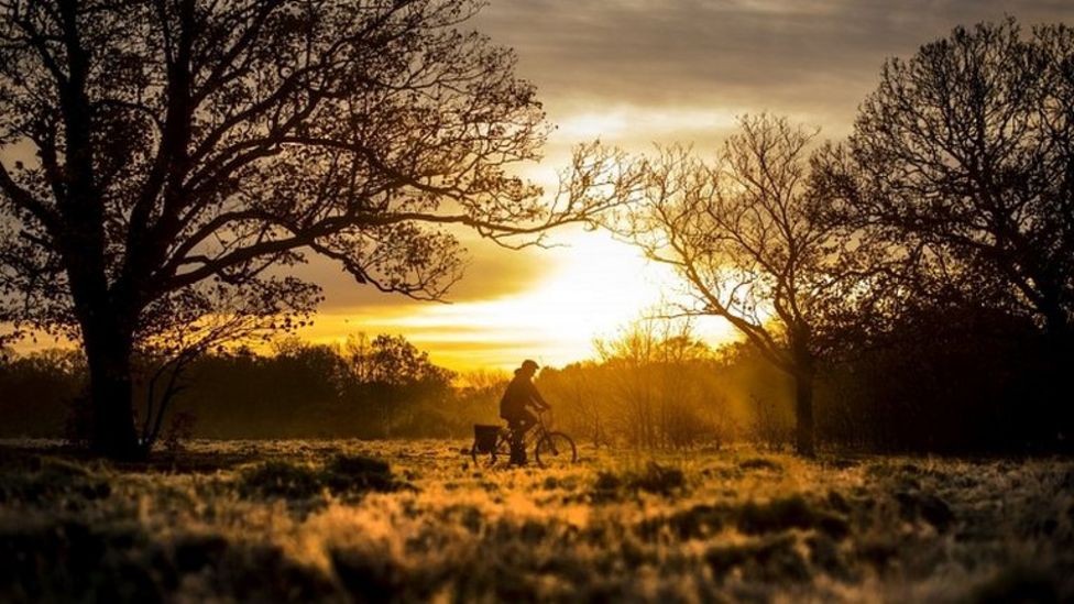 Climate change: Make people fly less, ministers told - BBC News