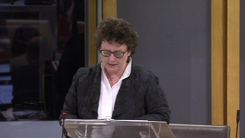 Presiding officer Elin Jones backs youth parliament - BBC News