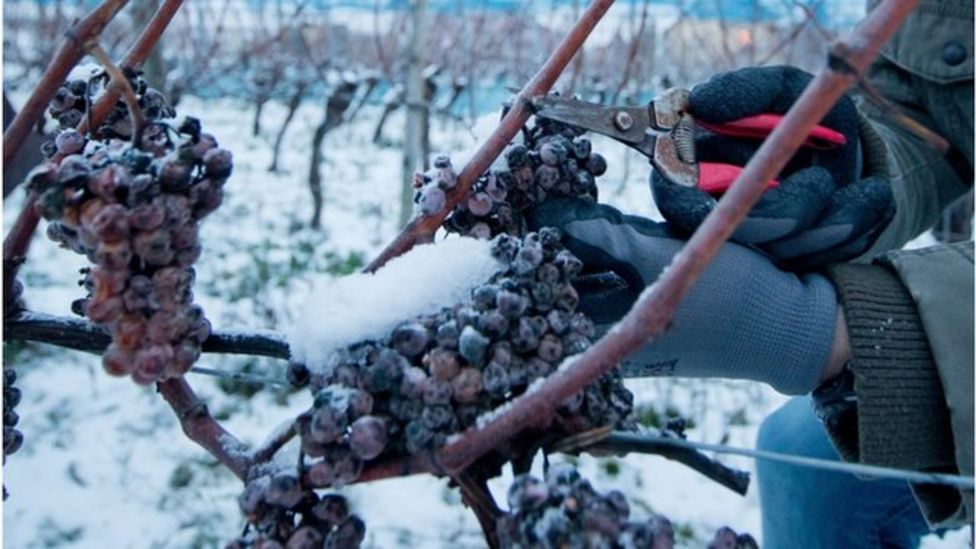 Europe experiences exceptionally warm winter