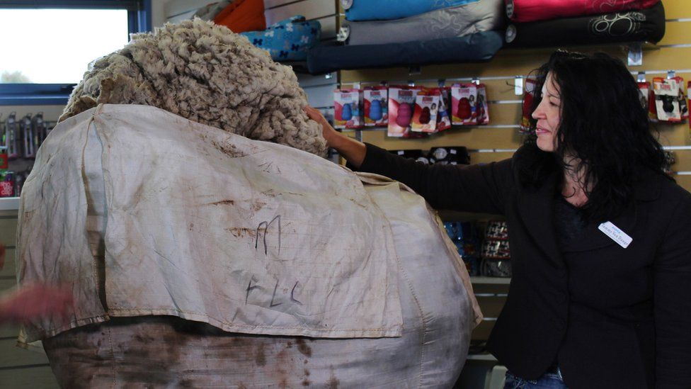 Overgrown sheep sets Guinness World Record - BBC Newsround