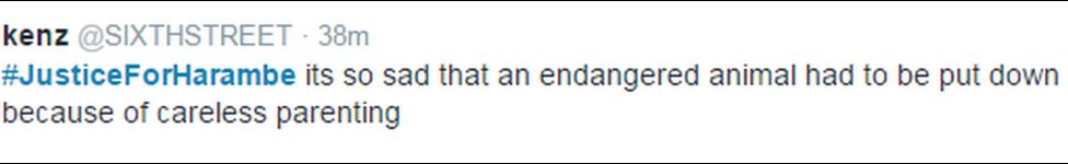 Gorilla killing: Harambe's death at zoo prompts backlash - BBC News