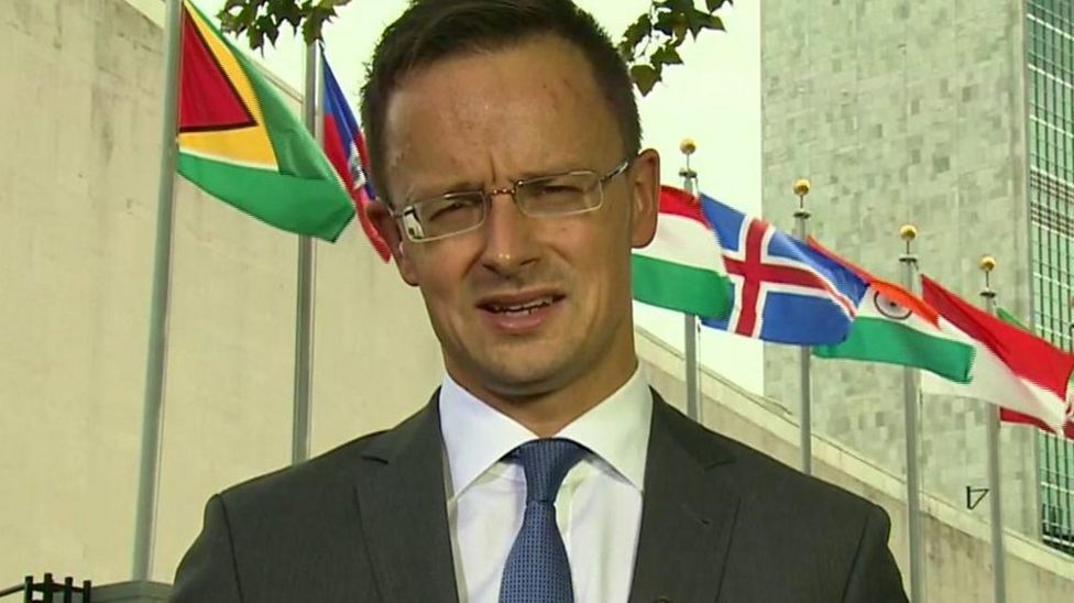 Trump's ambassador to Netherlands in 'fake news' blunder - BBC News