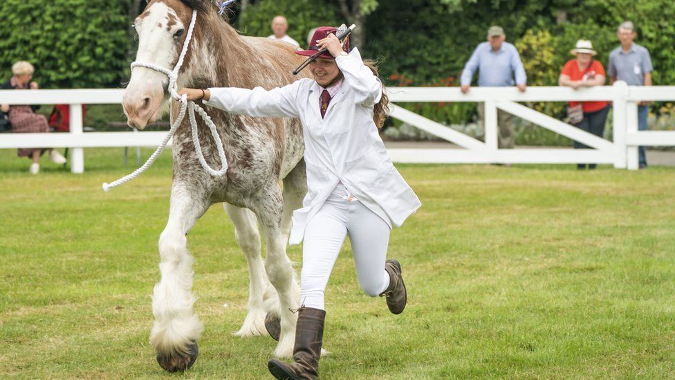 Great Yorkshire Show: Thousands attend first day of Harrogate event ...
