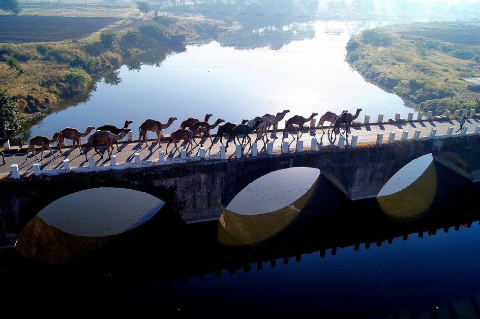 Your pictures: On the road - BBC News