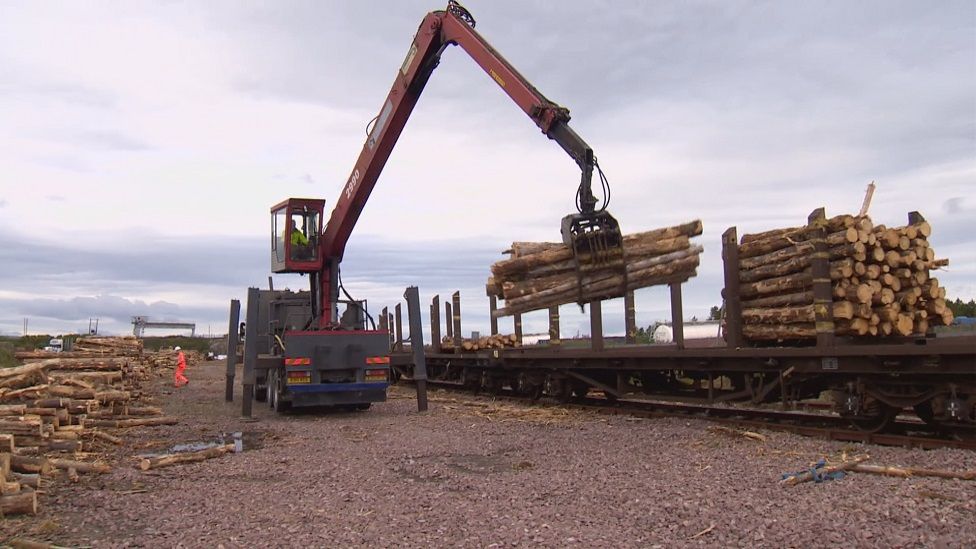 Timber moved by rail for first time in a decade - BBC News