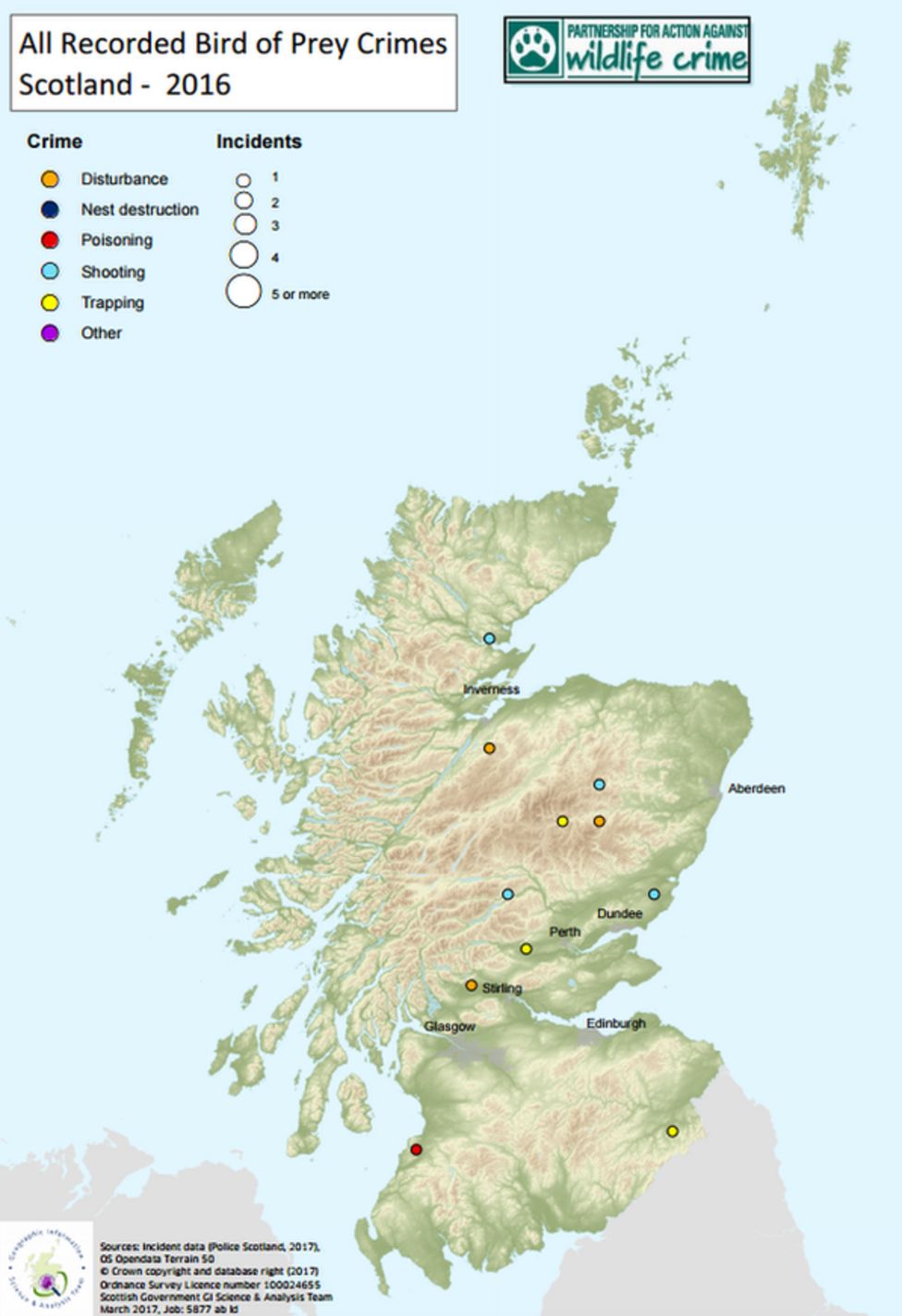 Bird of prey crimes in Scotland drop by quarter - BBC News