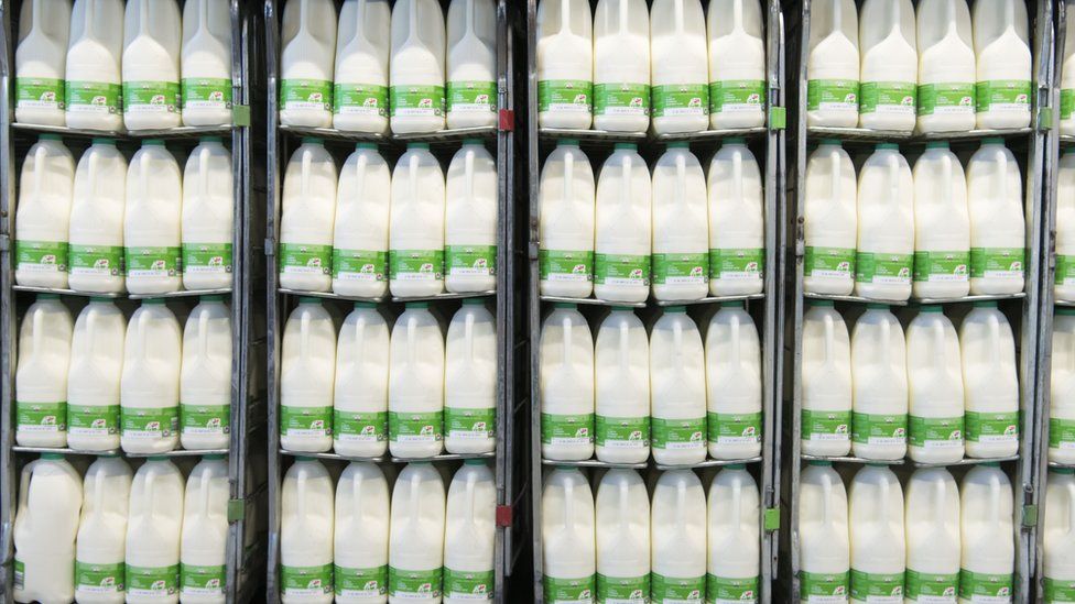 Cymorth i'r ffermwyr llaeth sydd wedi'u taro waethaf - BBC Cymru Fyw