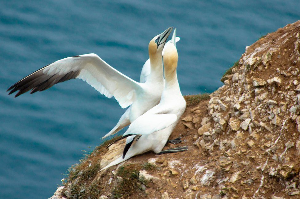 England's Big Picture: 17 July - 23 July 2023 - BBC News