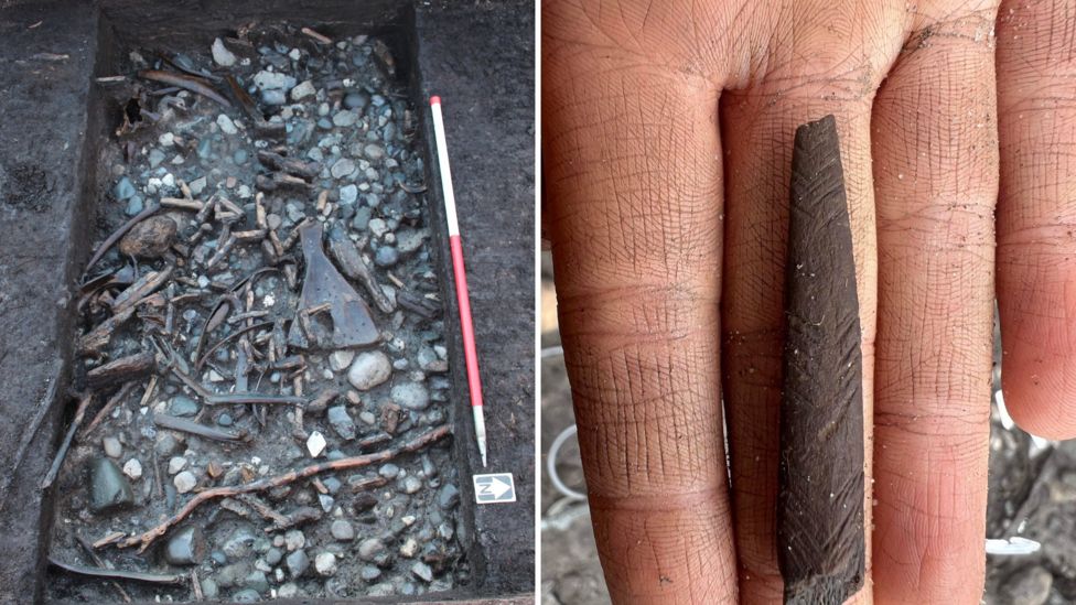 Scarborough dig: Rare finds offer insight into Stone Age life - BBC News