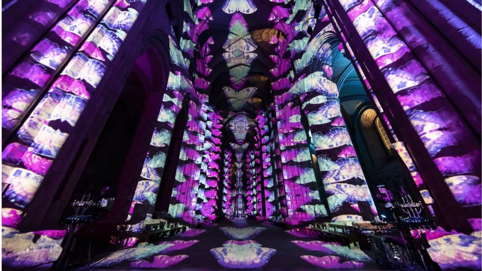 Dehydrated bats fell from Durham Cathedral roof in heatwave - BBC News