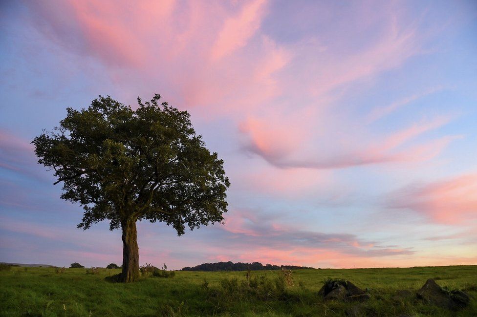 England's Big Picture: 16 - 22 September - BBC News