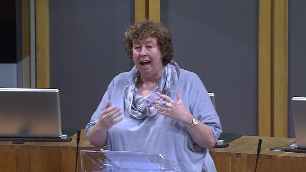 Former Senedd members paid £632,000 for 'resettlement' - BBC News