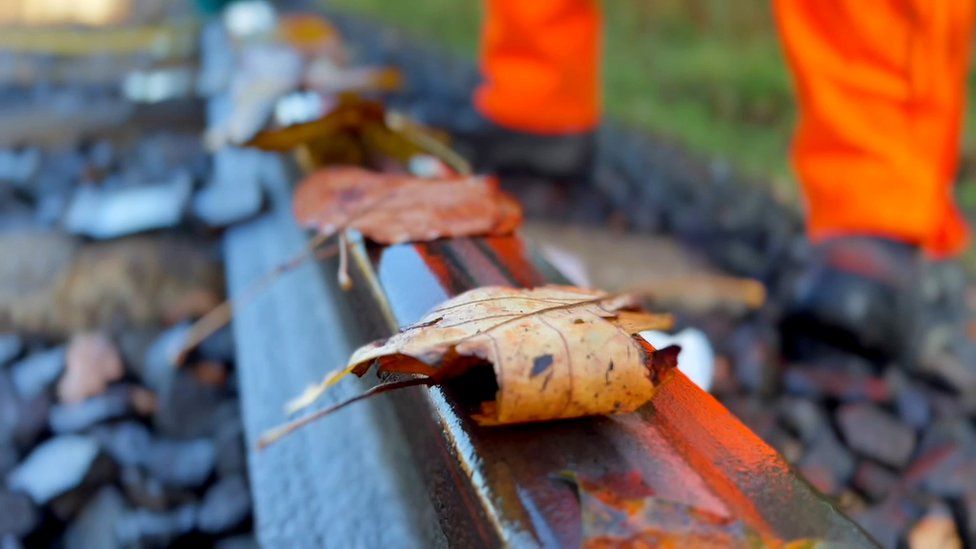 Devon: Brushed-up Land Rover sweeps leaves off tracks - BBC News