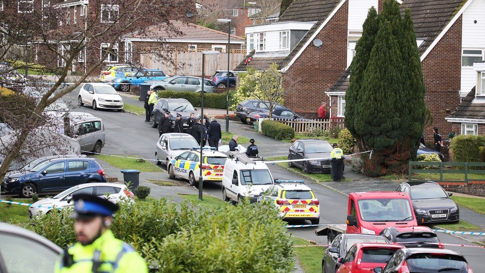 Crawley Down: Two women killed and man hurt at house - BBC News