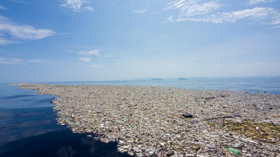 Ocean pollution: 'Stop polluting our oceans or face disaster' warns WWF ...