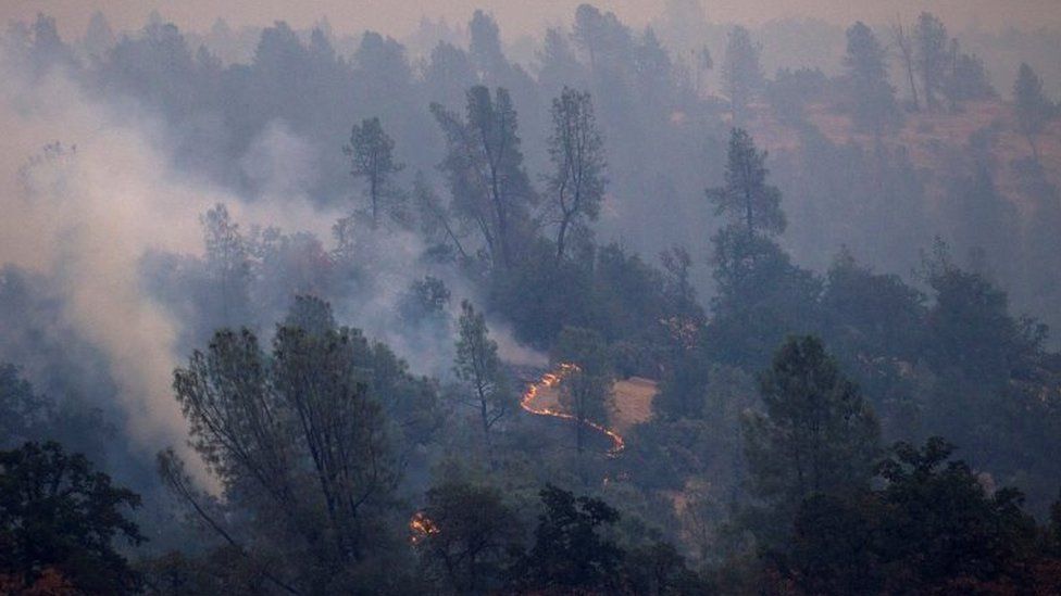 California fires: Thousands forced to flee as Carr fire spreads - BBC ...