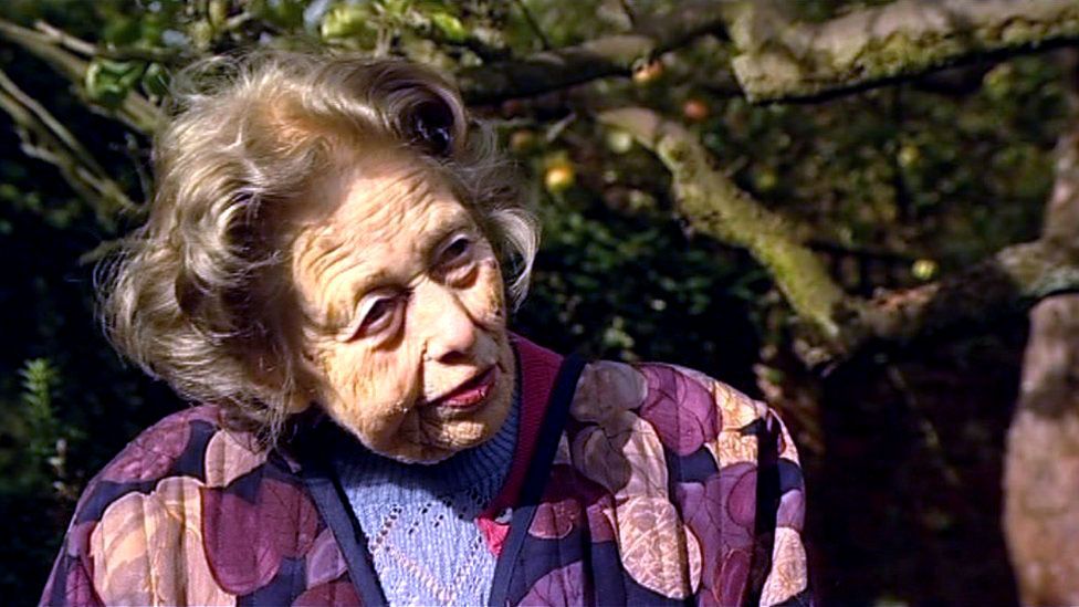 University's bid to save original Southwell Bramley apple tree - BBC News