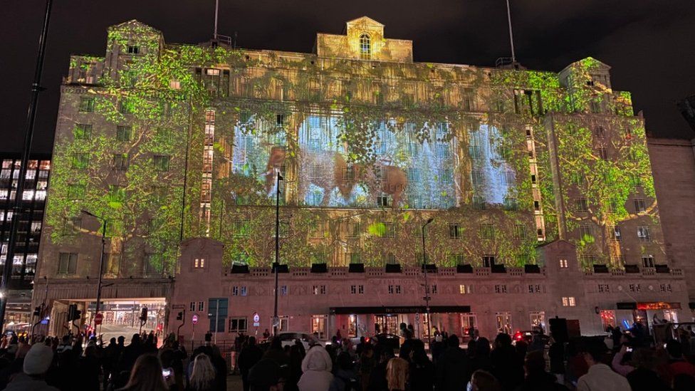 Leeds Light Night: City lit up with nature theme - BBC News